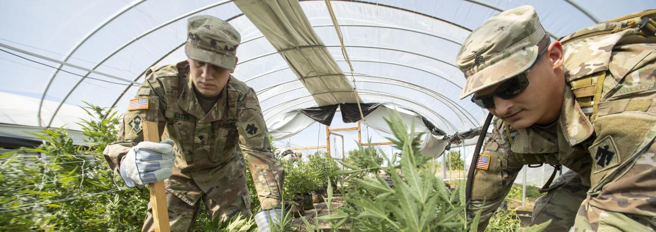 Popular Counterdrug Program Seeks More Funds | National Guard ...